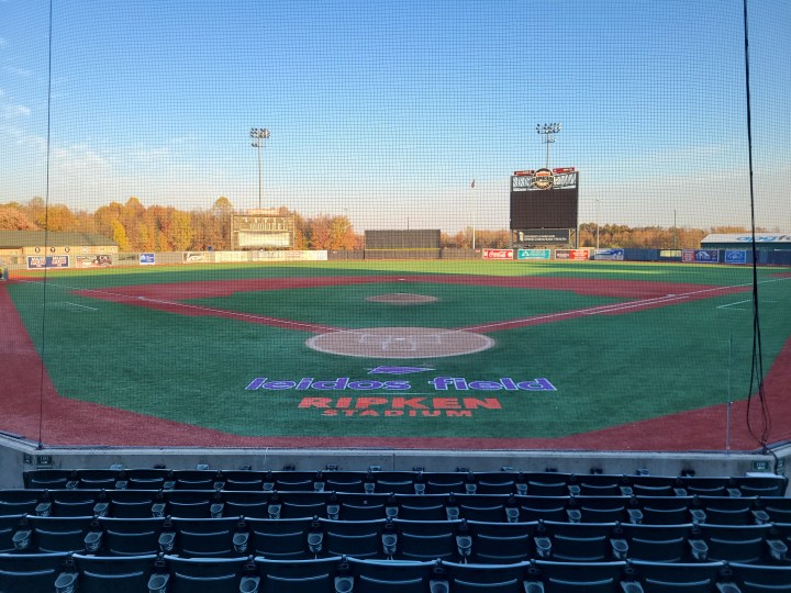 SCABL Official Release – NECBL’s Newport Gulls Baseball – The Baseball ...