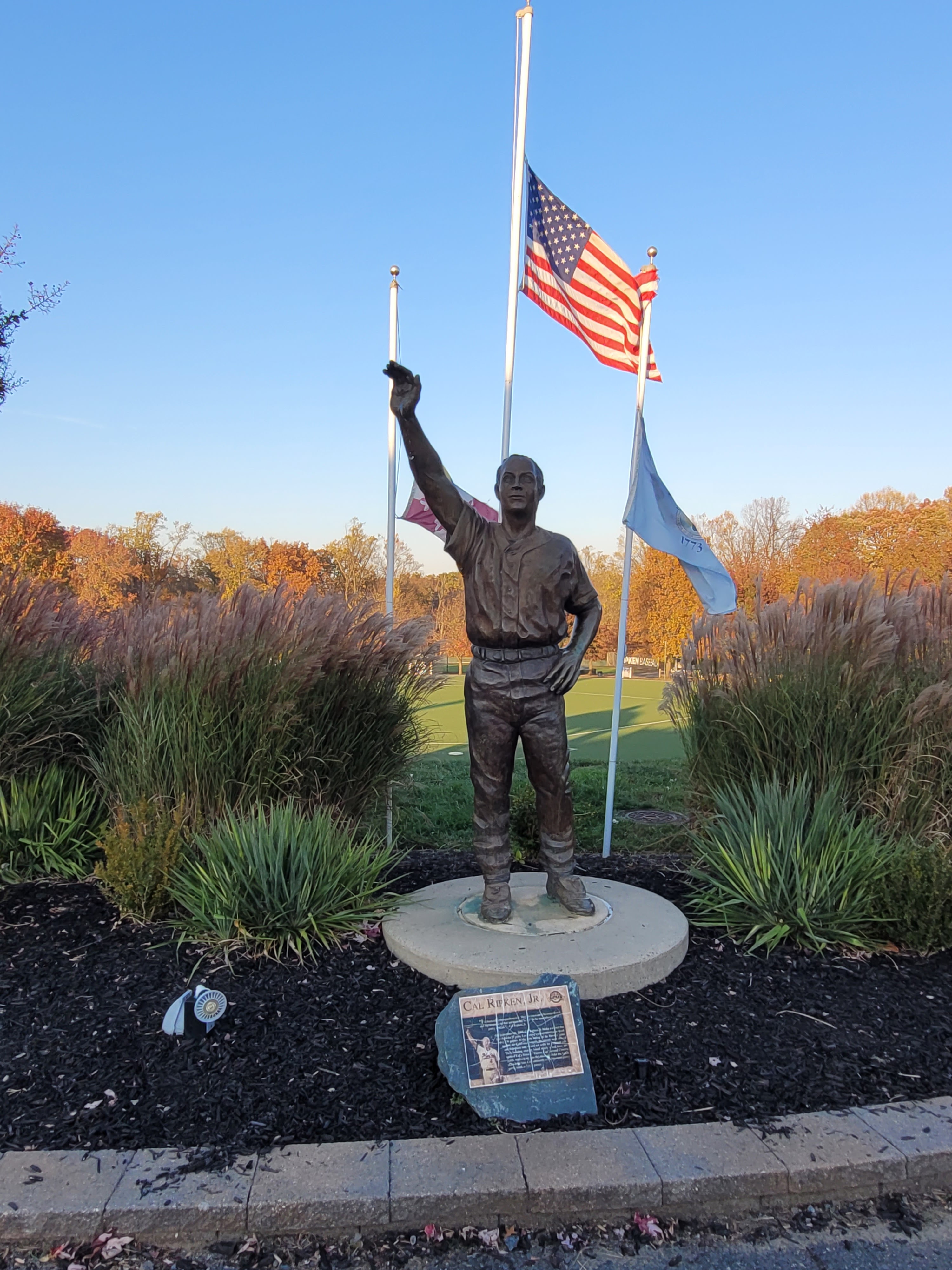 SCABL Official Release – NECBL’s Newport Gulls Baseball – The Baseball ...